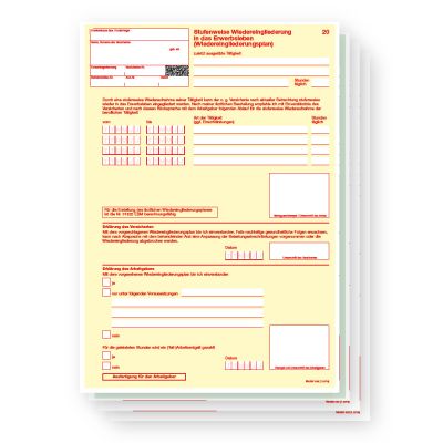 Muster 20 - Wiedereingliederungsplan